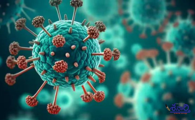 HMVP: వణికిస్తున్న చైనా వైరస్